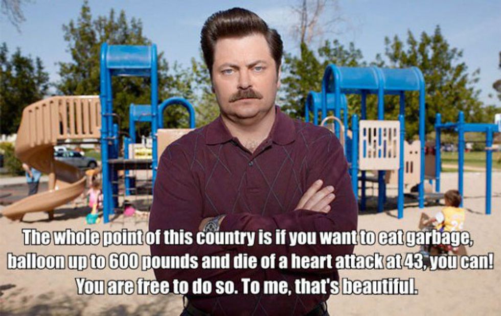 The Government as Told by Ron Swanson
