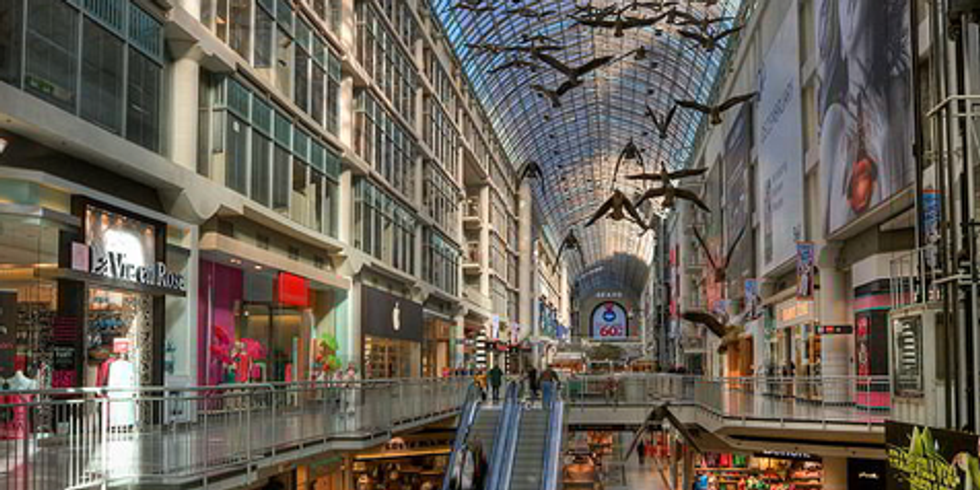 Top Things To Do In Toronto, ON