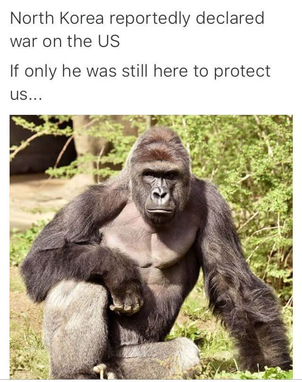 The Greatest Memes From 2016