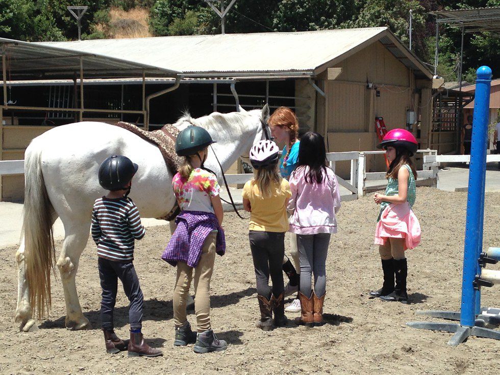 The Joys of Teaching Children Through Horses