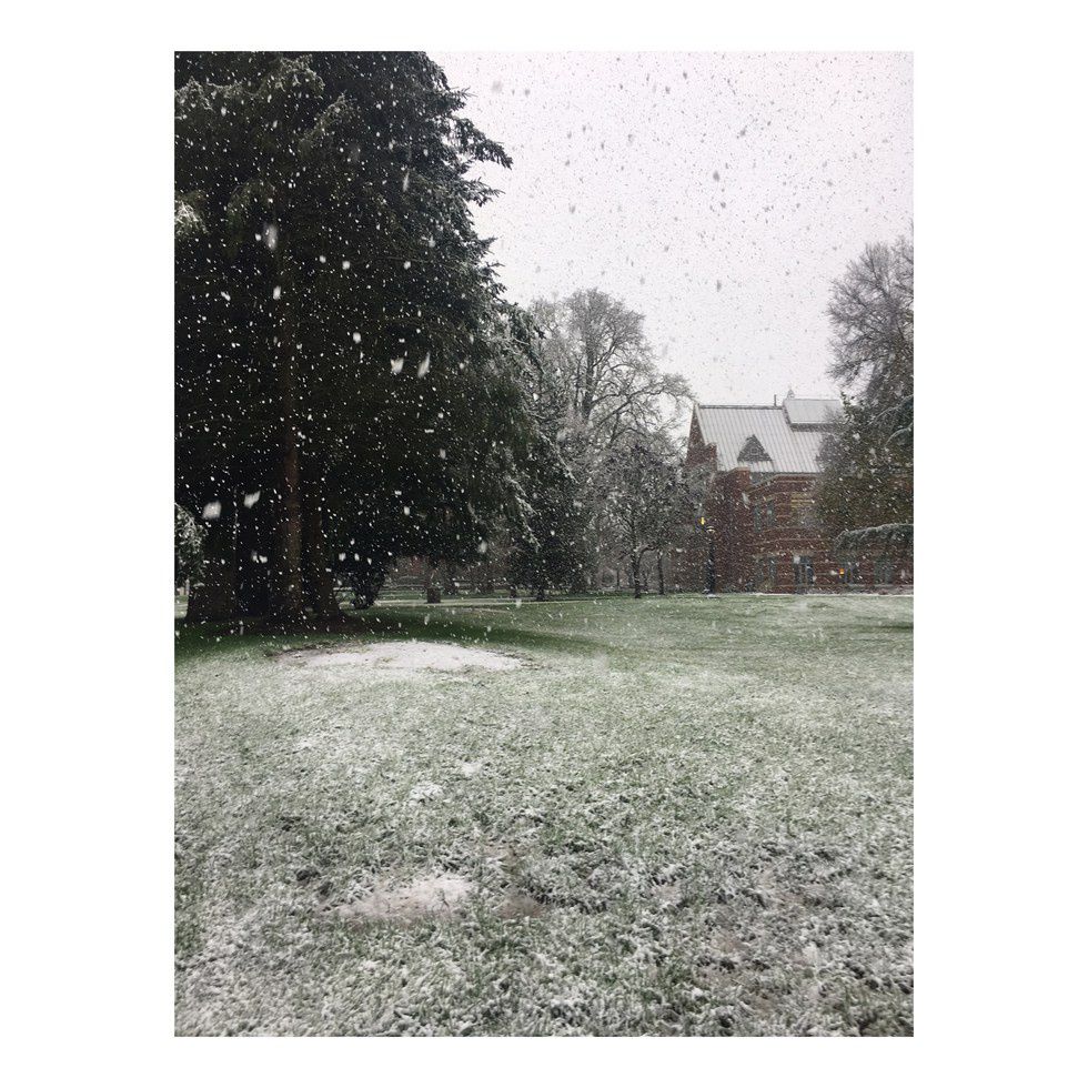 7 Things I Learned From My First Snow Day