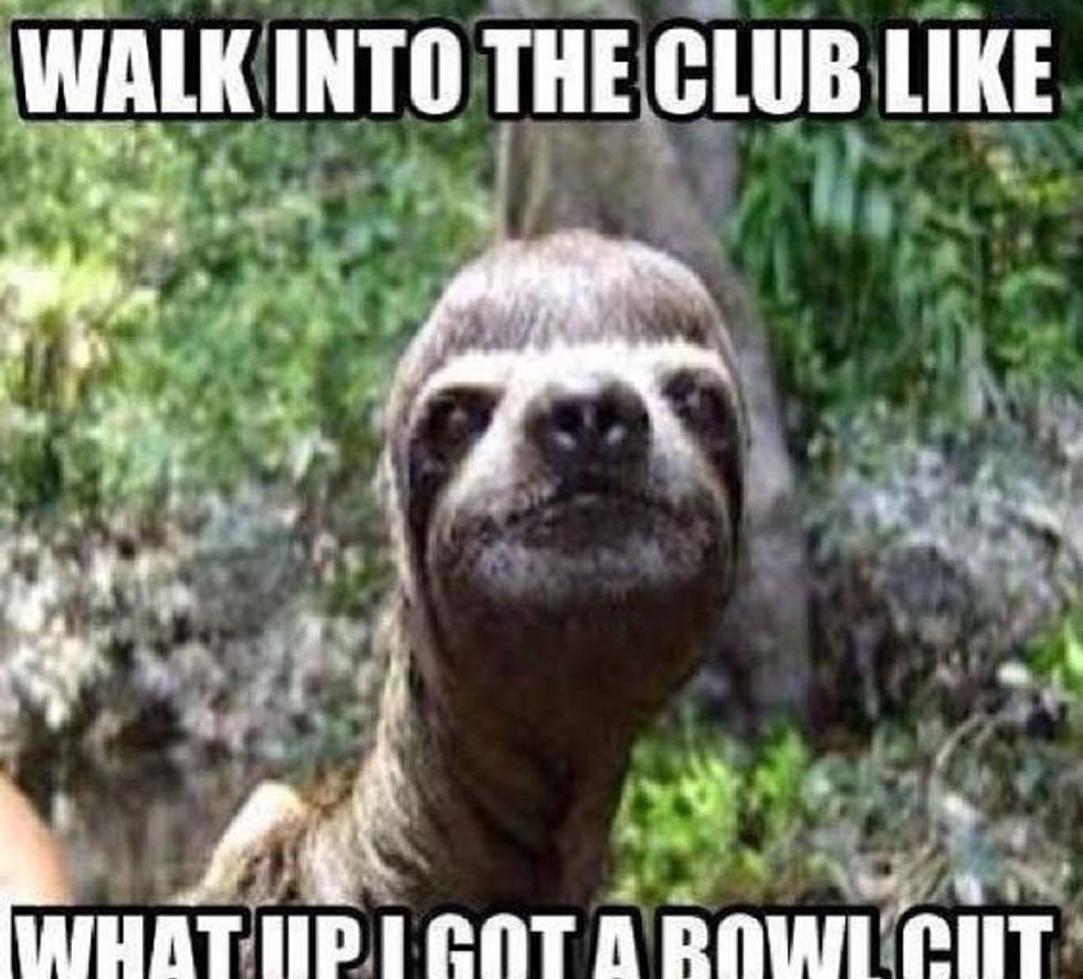 The Best Sloth Memes