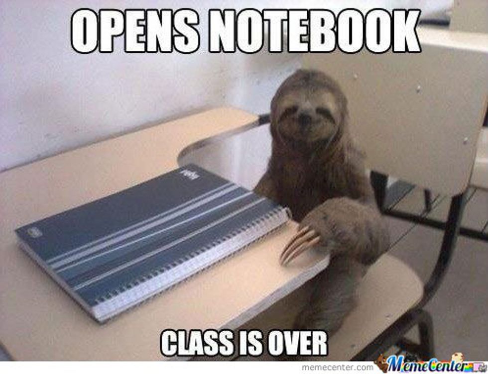 The Best Sloth Memes