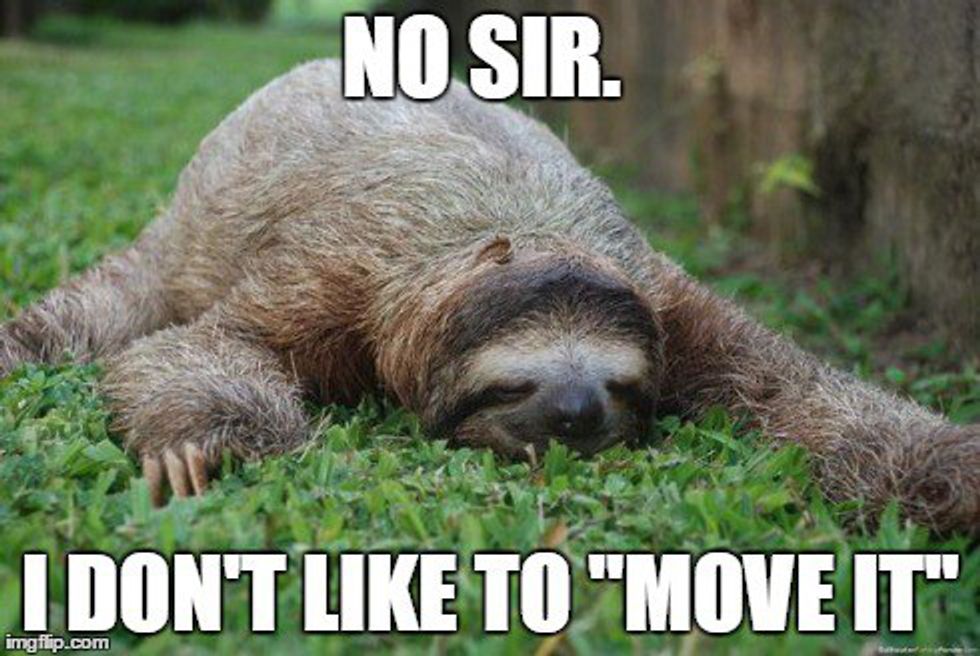 The Best Sloth Memes