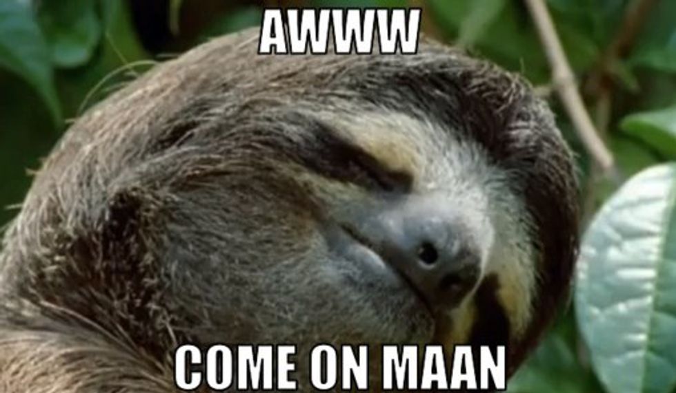 The Best Sloth Memes