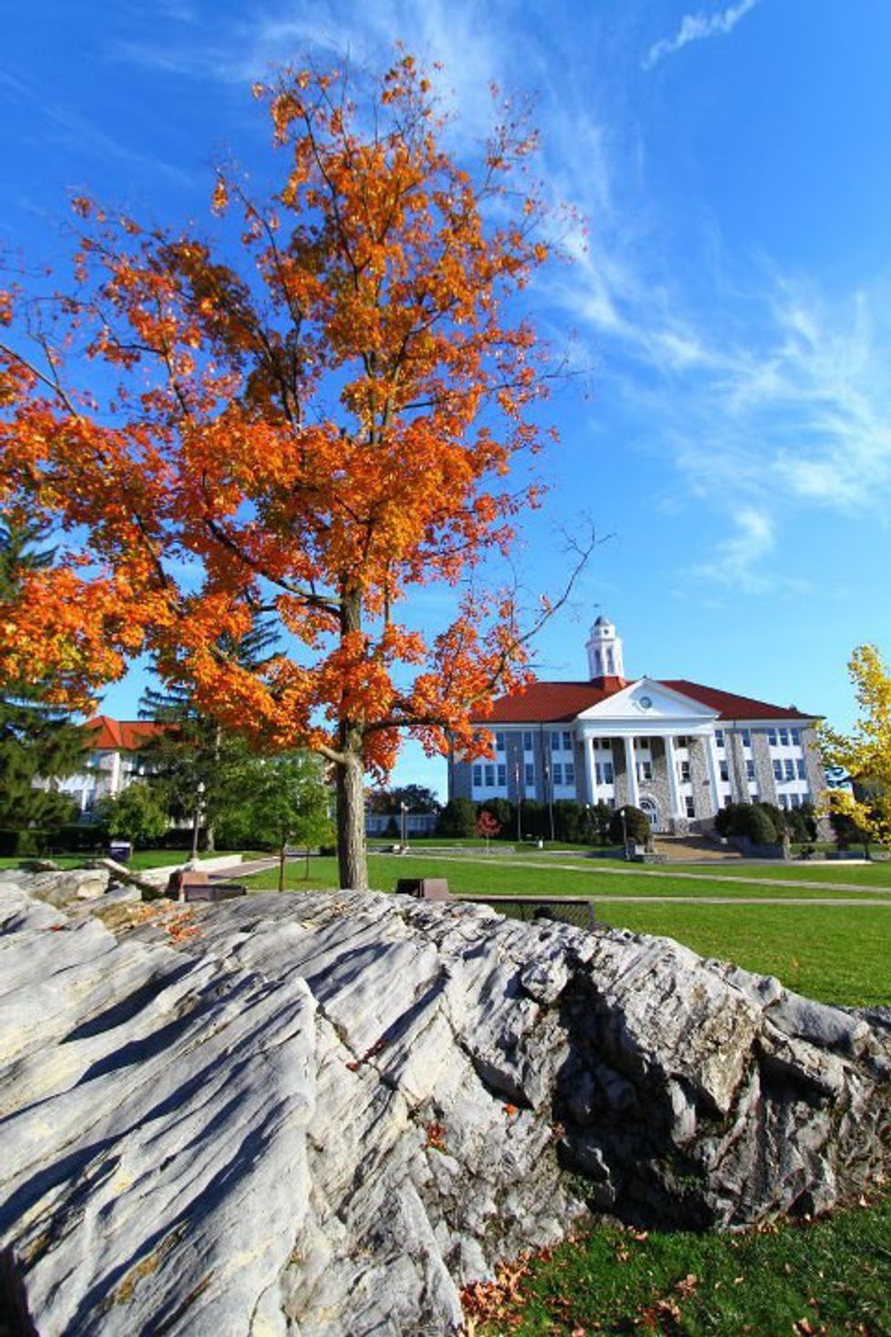 20 Activities For The JMU Student Who Never Knows What To Do