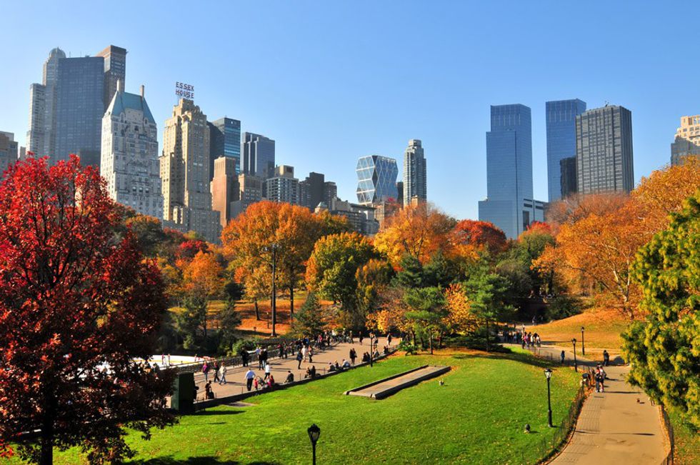 New York: Expectations vs Reality