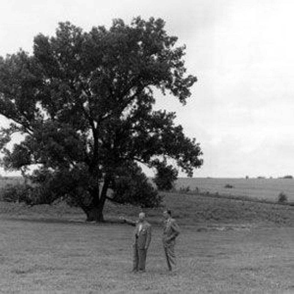 Walt's Dreaming Tree: Where The Magical World Of Disney Began