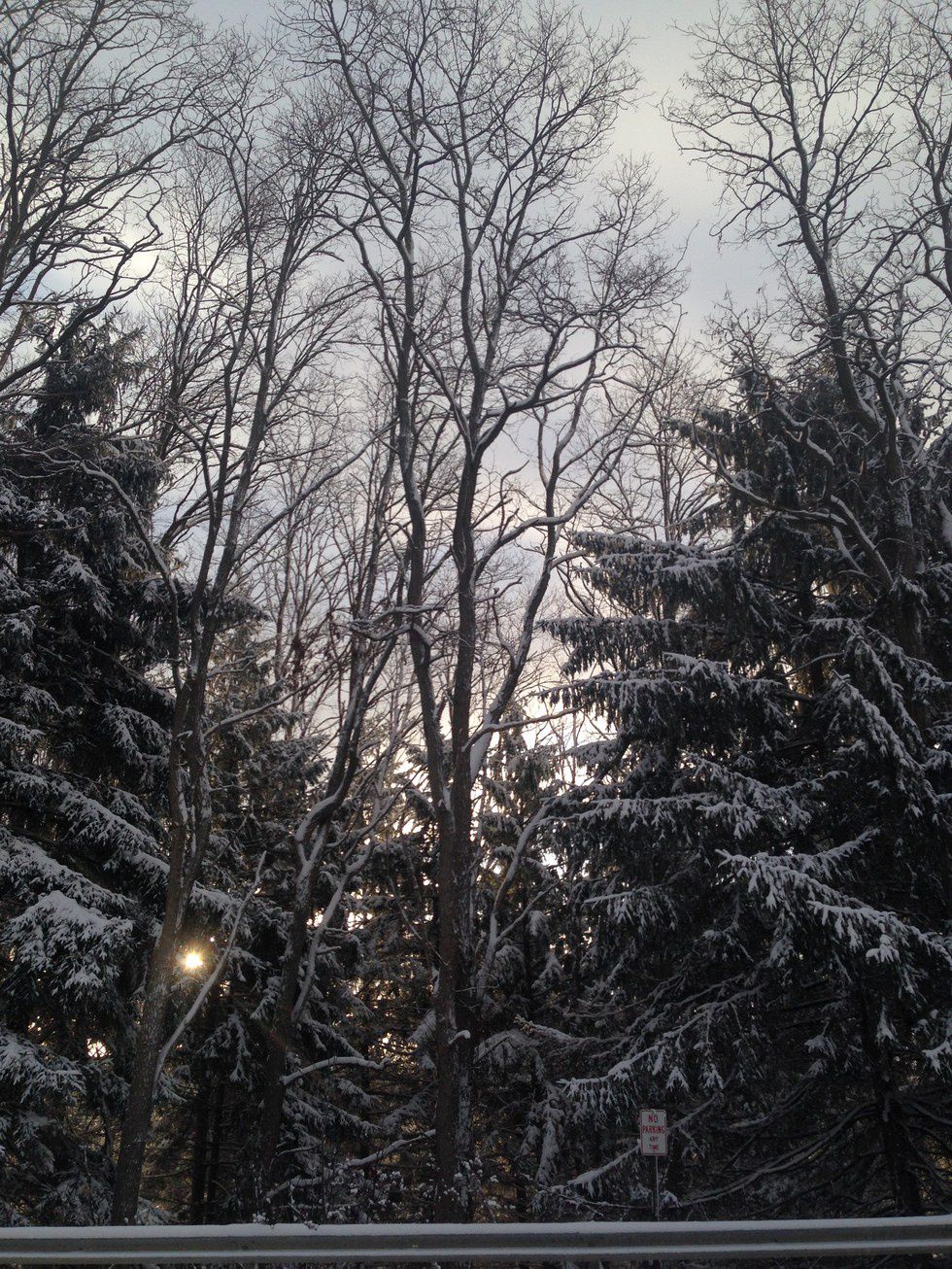 10 Ways to Love Snow