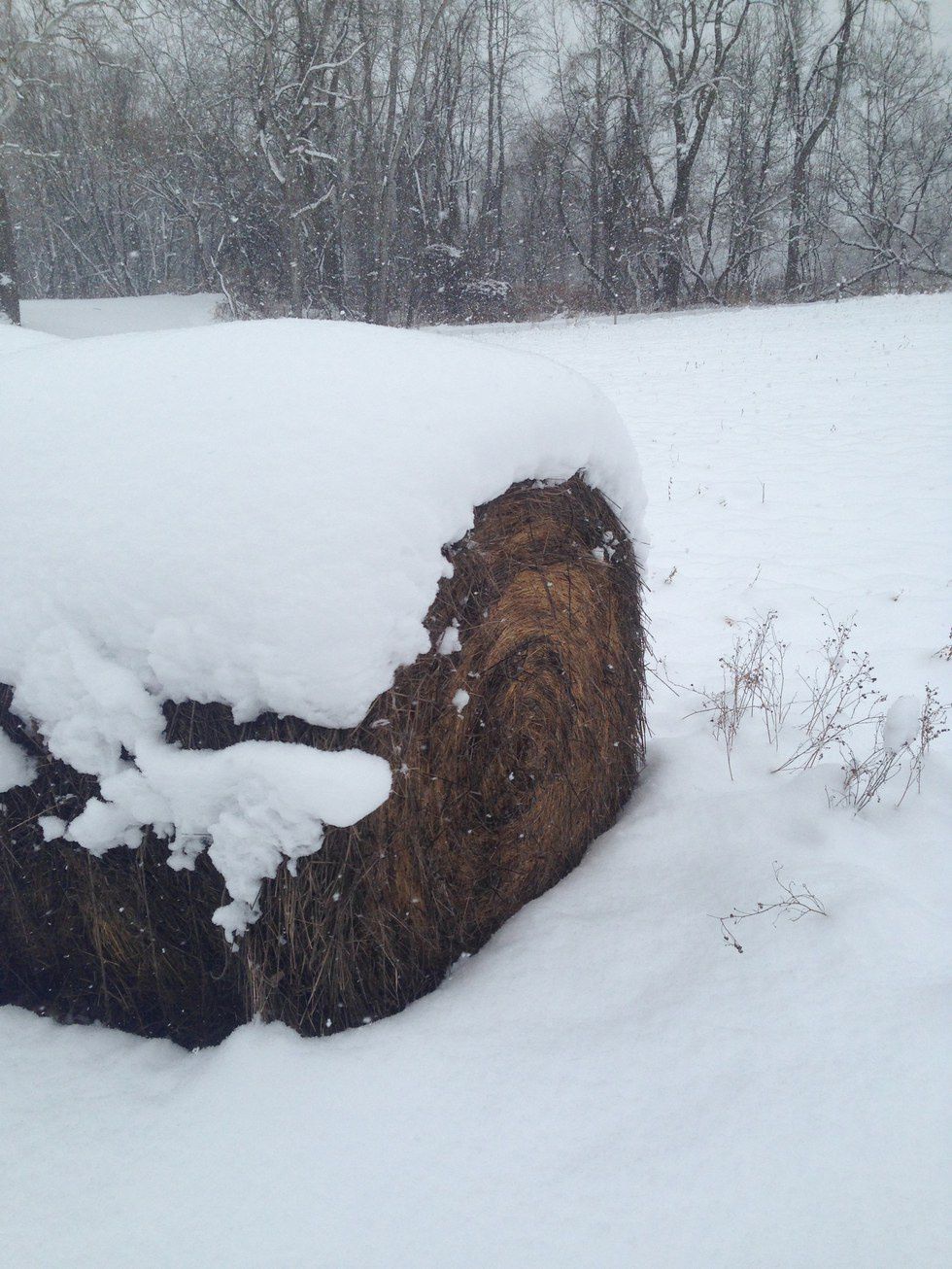 10 Ways to Love Snow