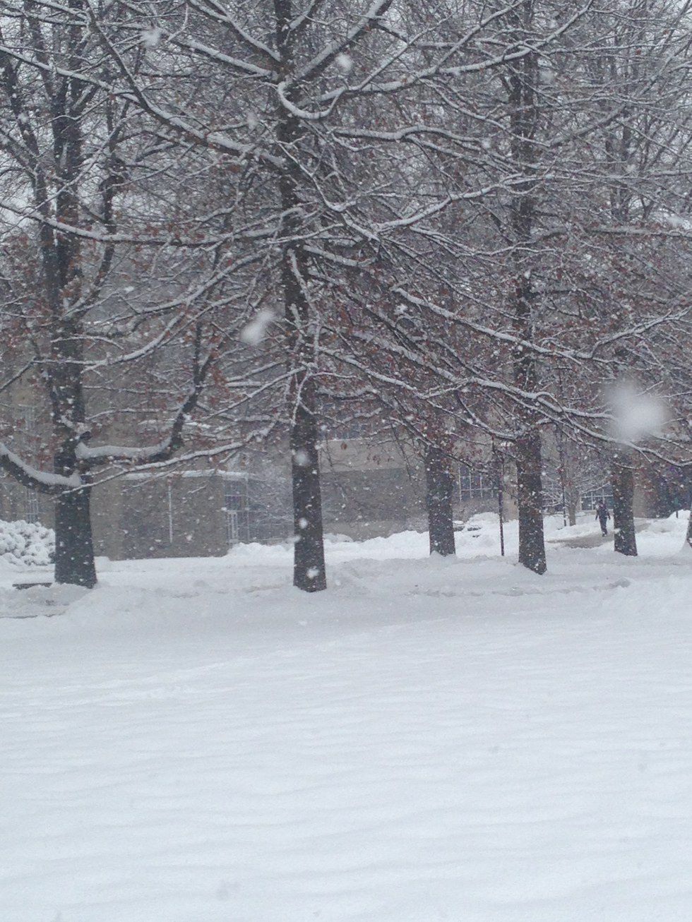 10 Ways to Love Snow