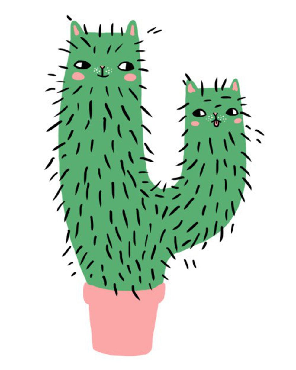 The Significance of a Cactus