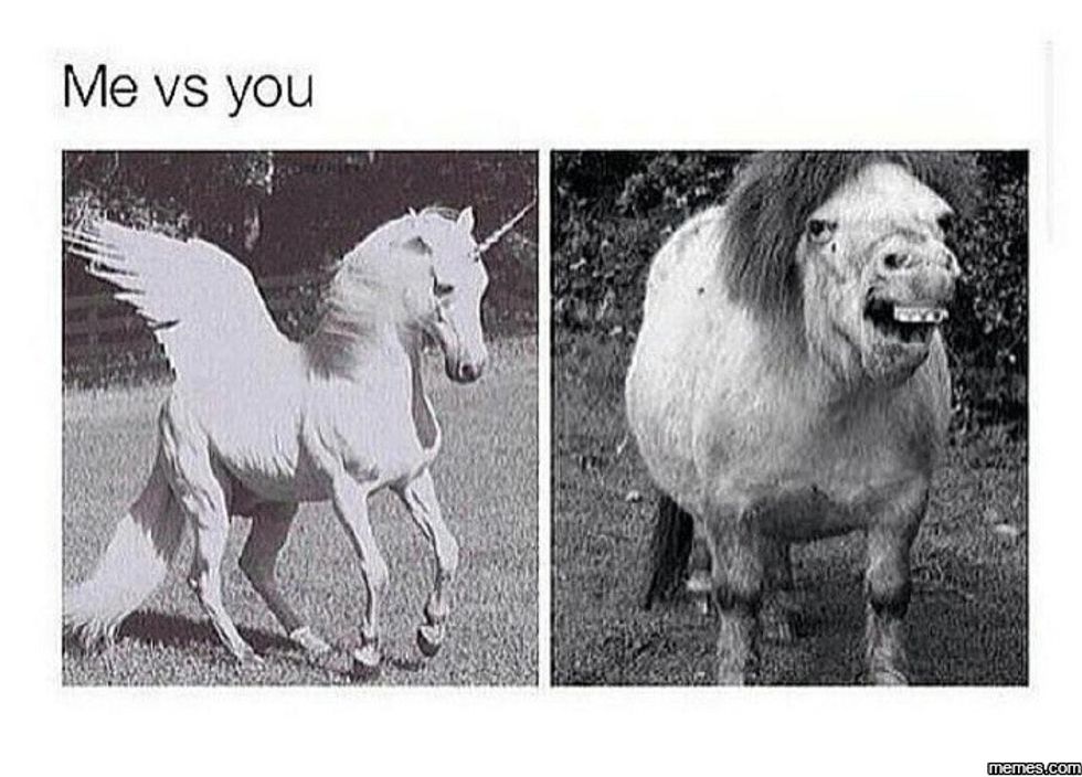 Memes Explained By Psychology