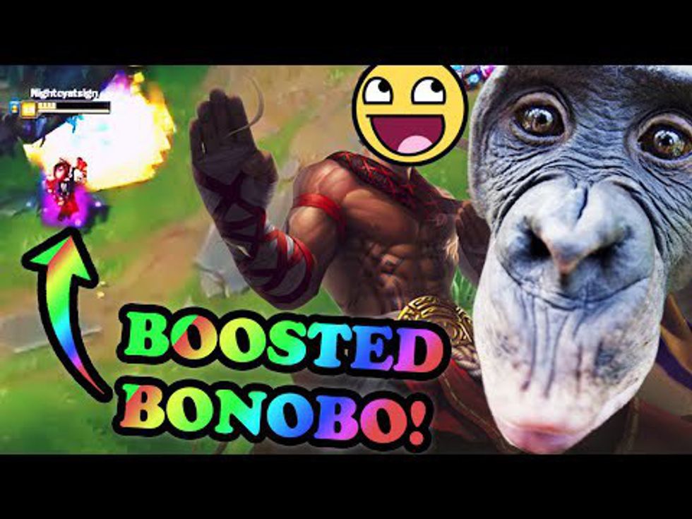 The Best Twitch Memes of The Year