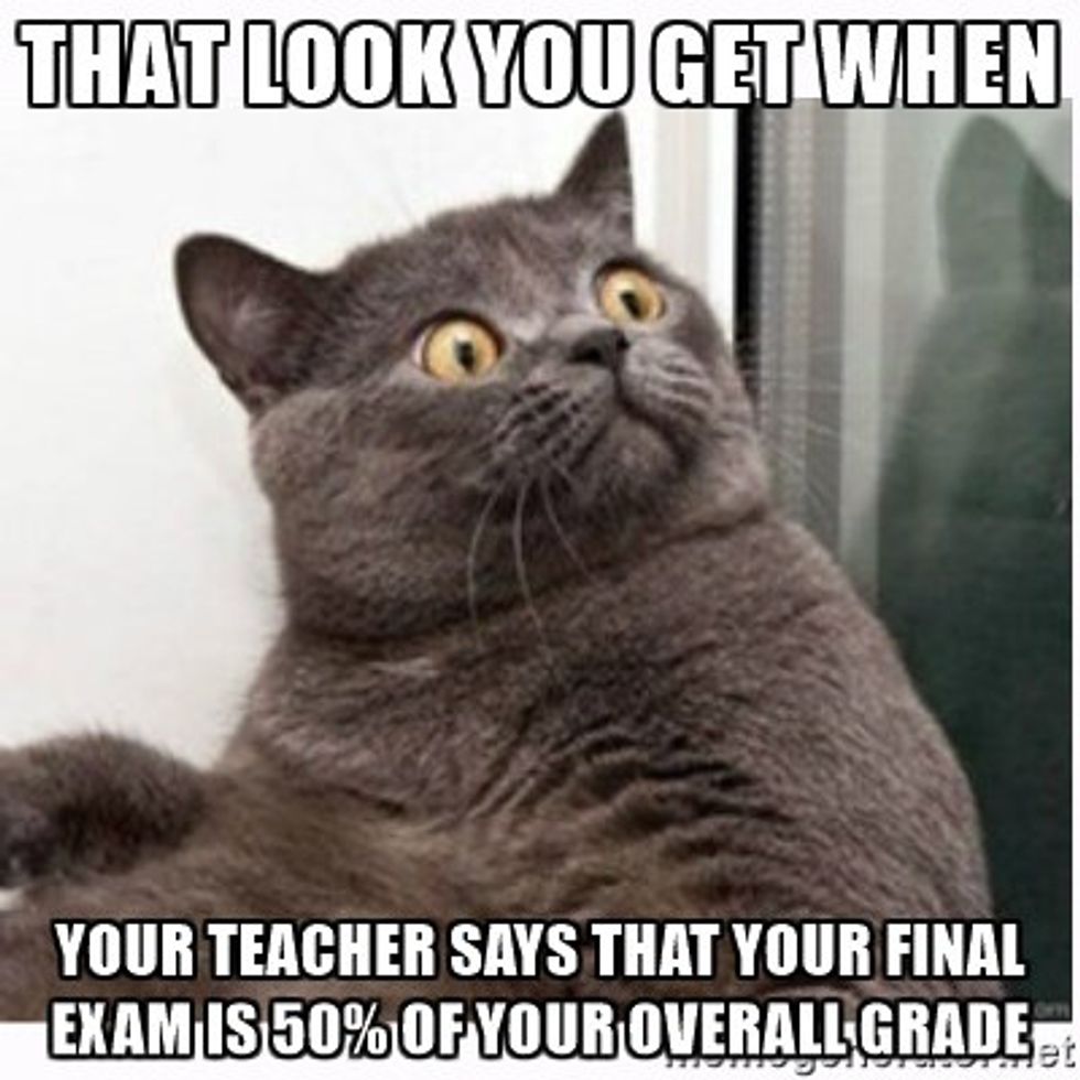 Cat Memes To Get You Through Finals