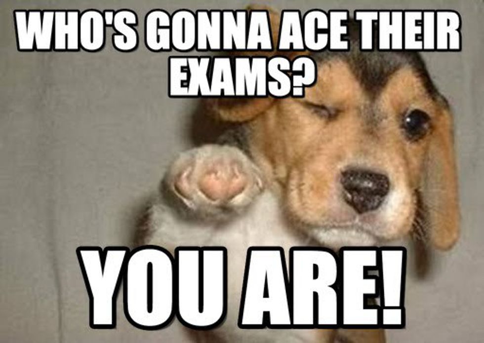 "The Most Wonderful Time of the Year": Exam Time