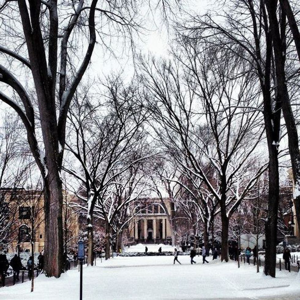 The 15 Best Scenes Of Winter At Penn State