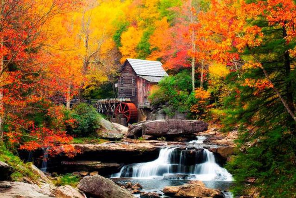 10 Reasons Why Autumn Is The Best Season