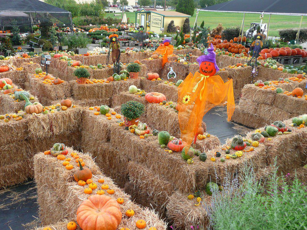 9 Absolutely Best Things About Fall