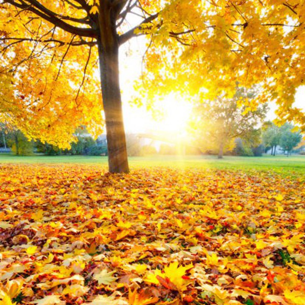 10 Things To Be Grateful For This Fall