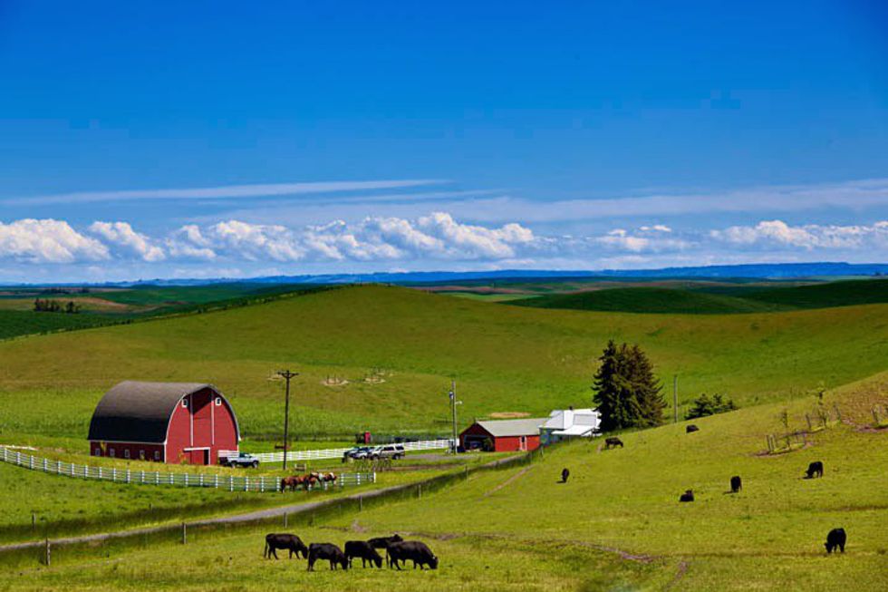 16 Reasons Washington State Is The Worst