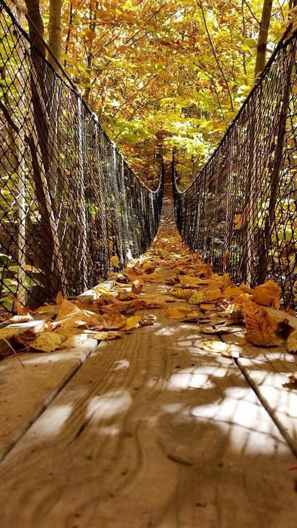 12 Things To Do This Fall