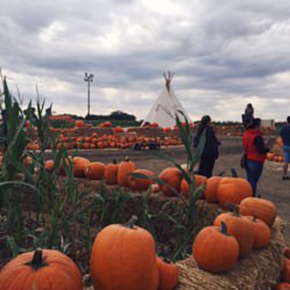 Top 10 Pumpkin Patches In The U.S.