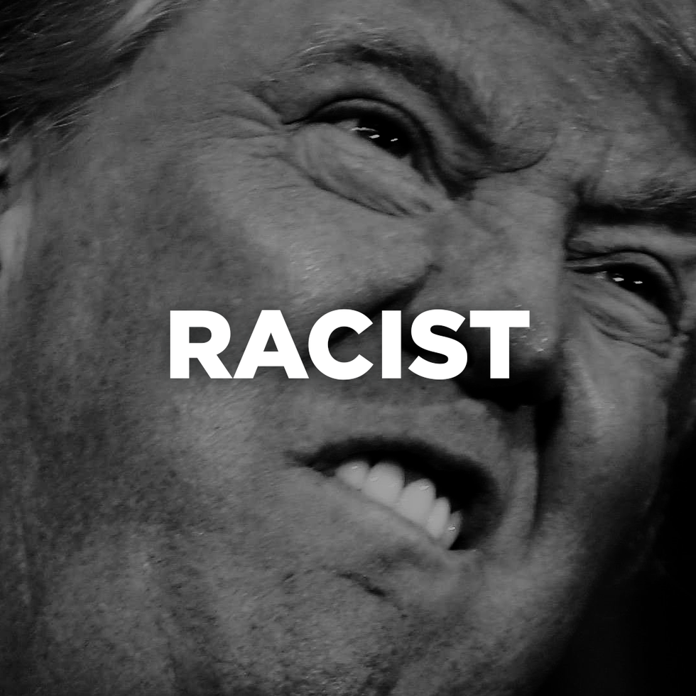 20 Words That Describe Donald Trump (With Pictures!)