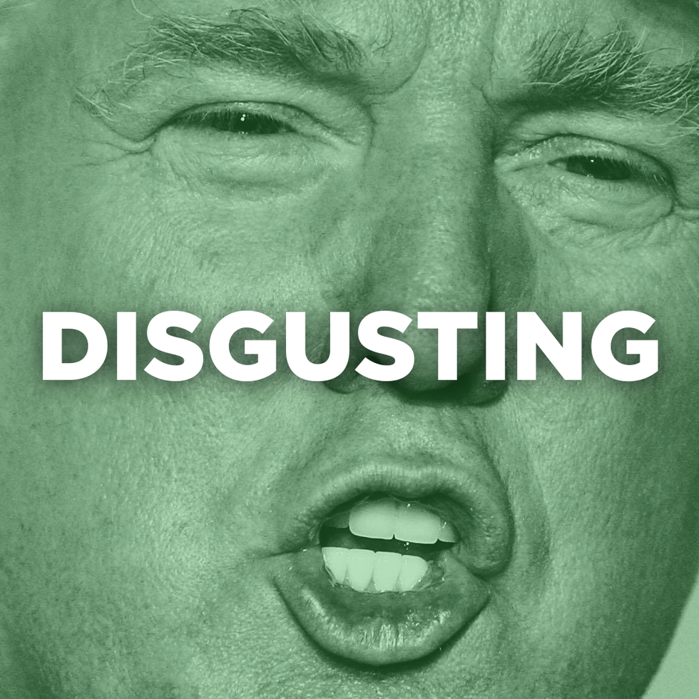 20 Words That Describe Donald Trump (With Pictures!)