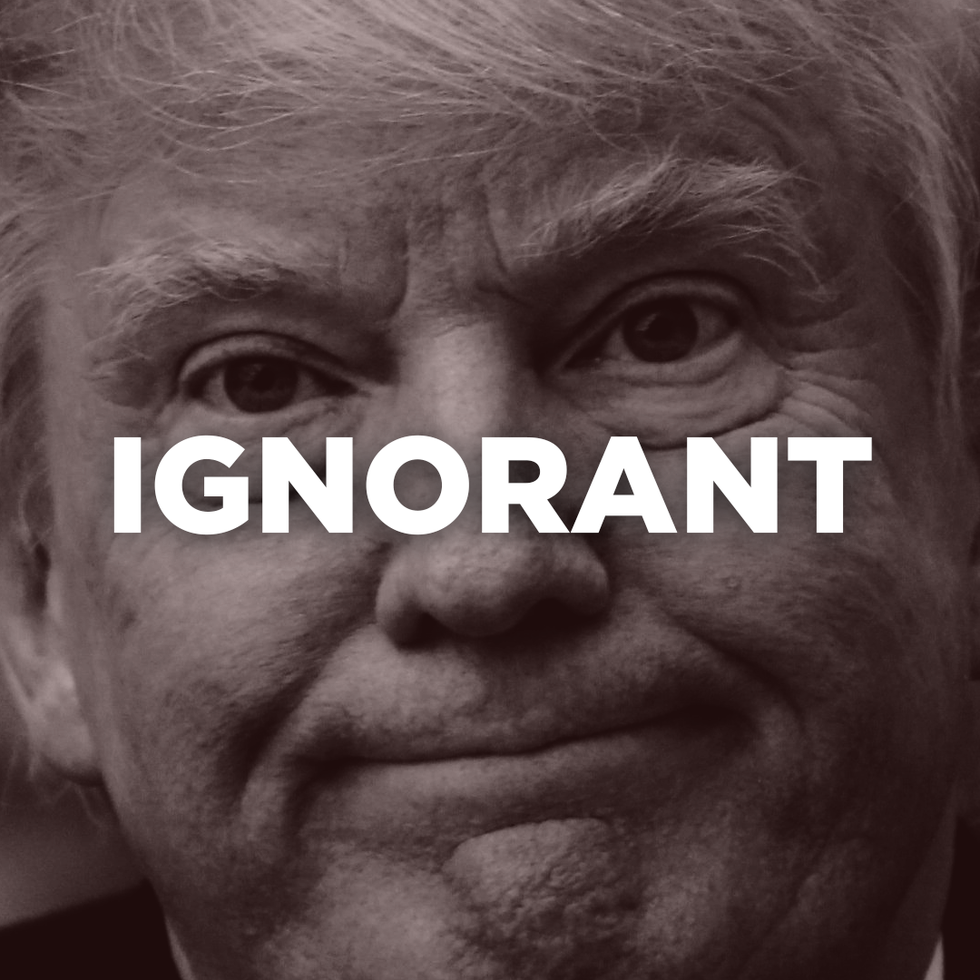 20 Words That Describe Donald Trump (With Pictures!)