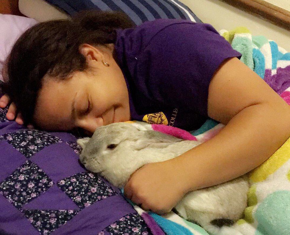 12 Things I Learned From My Therapy Rabbit