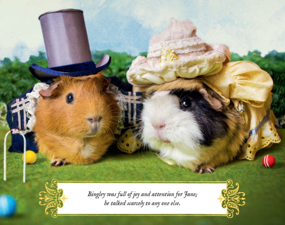 Small Rodents Take The Place Of Actors And Actresses