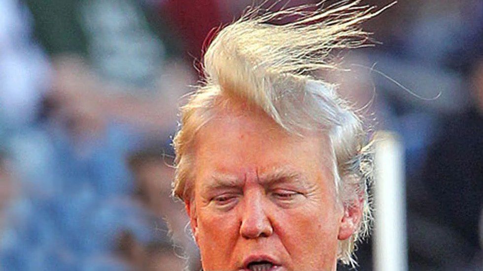 Donald Trump Hair Or Toupee donald-trump-hair-or-toupee