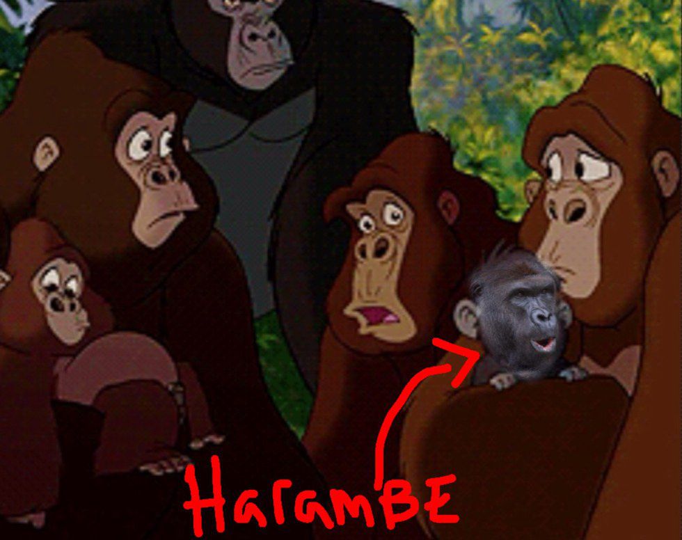 Six Little Known Facts About Harambe