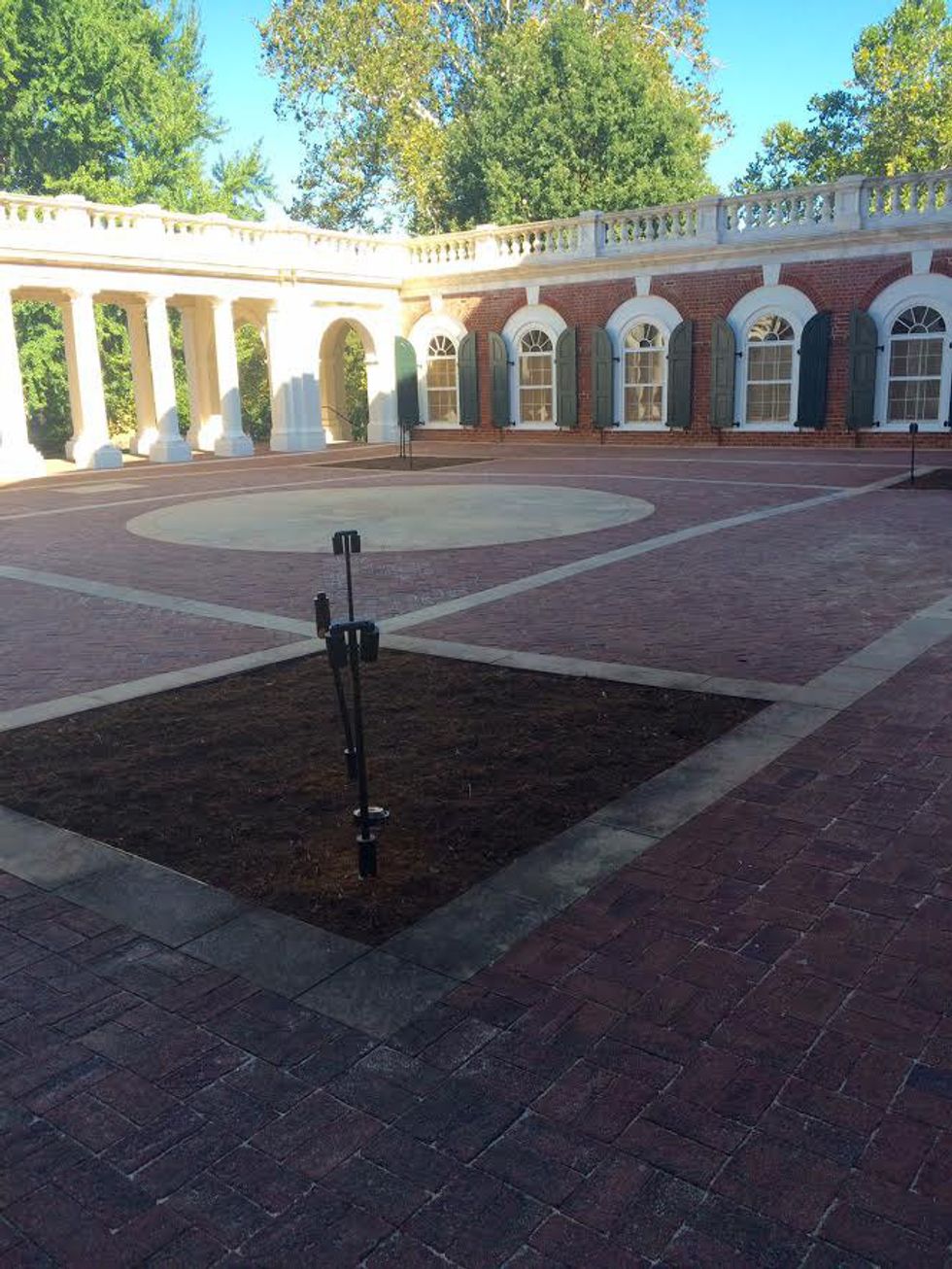 11 Underrated Spots On UVa Grounds That You Should Explore