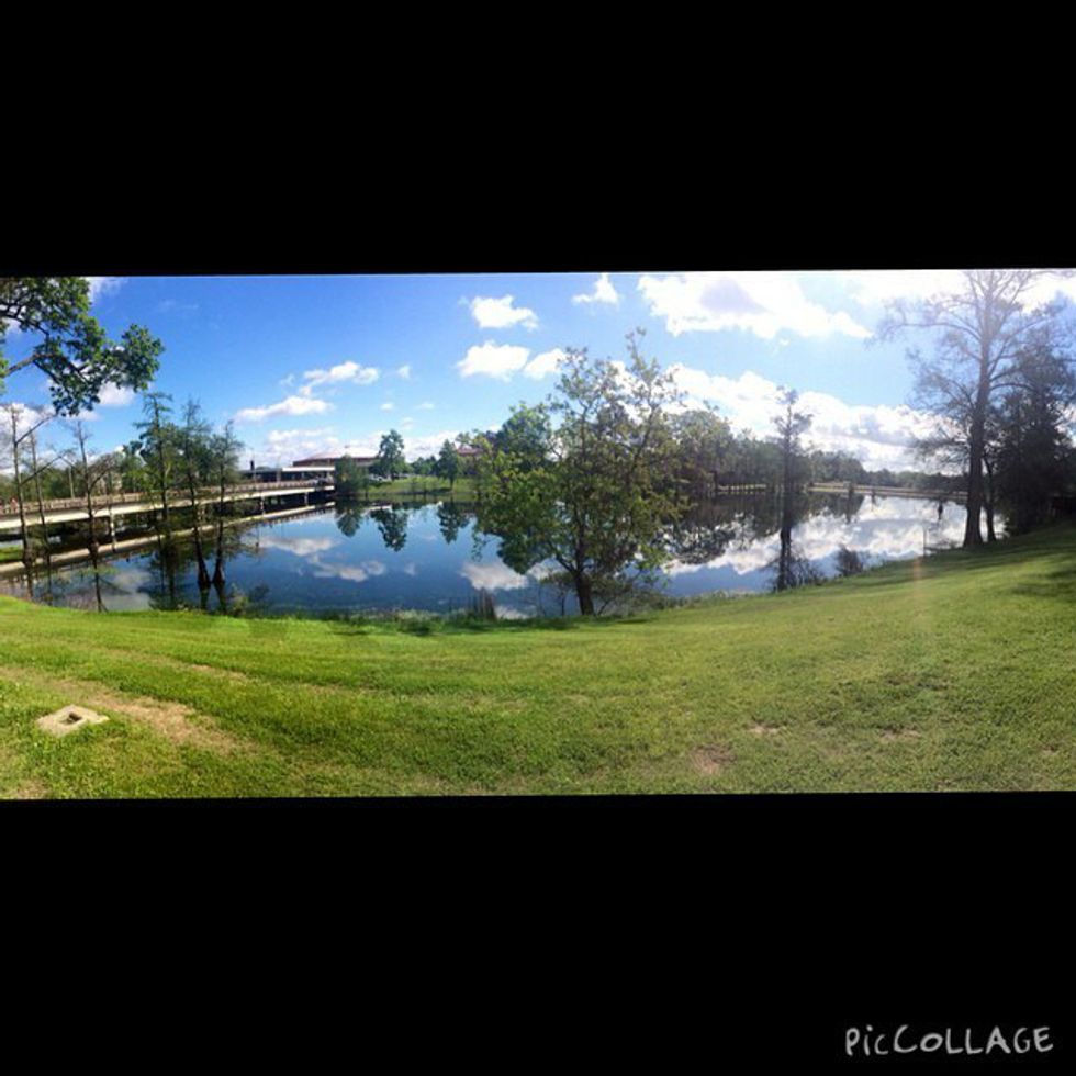 5 Must See Spots In Monroe, LA For All Nature Enthusiasts