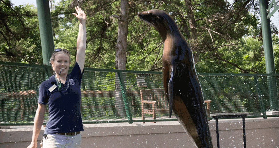 From A To Zootastic: The ABC's Of Zoos