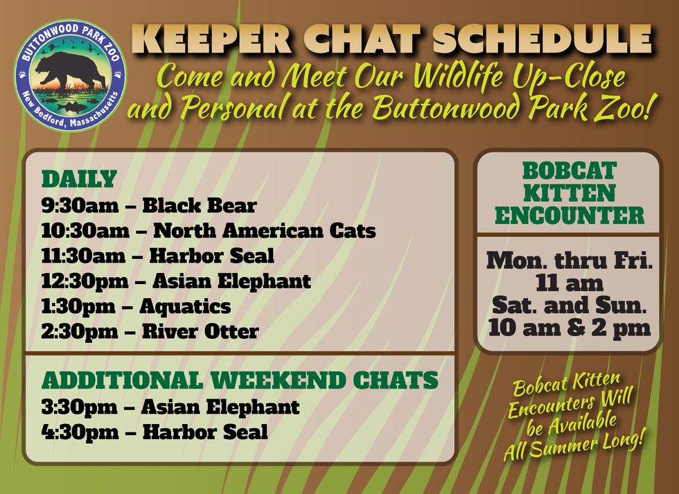 From A To Zootastic: The ABC's Of Zoos