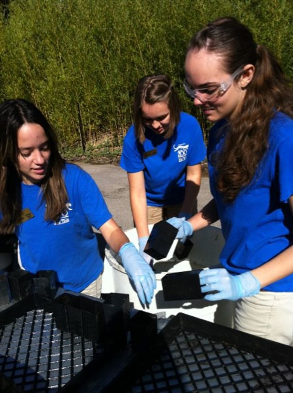 From A To Zootastic: The ABC's Of Zoos