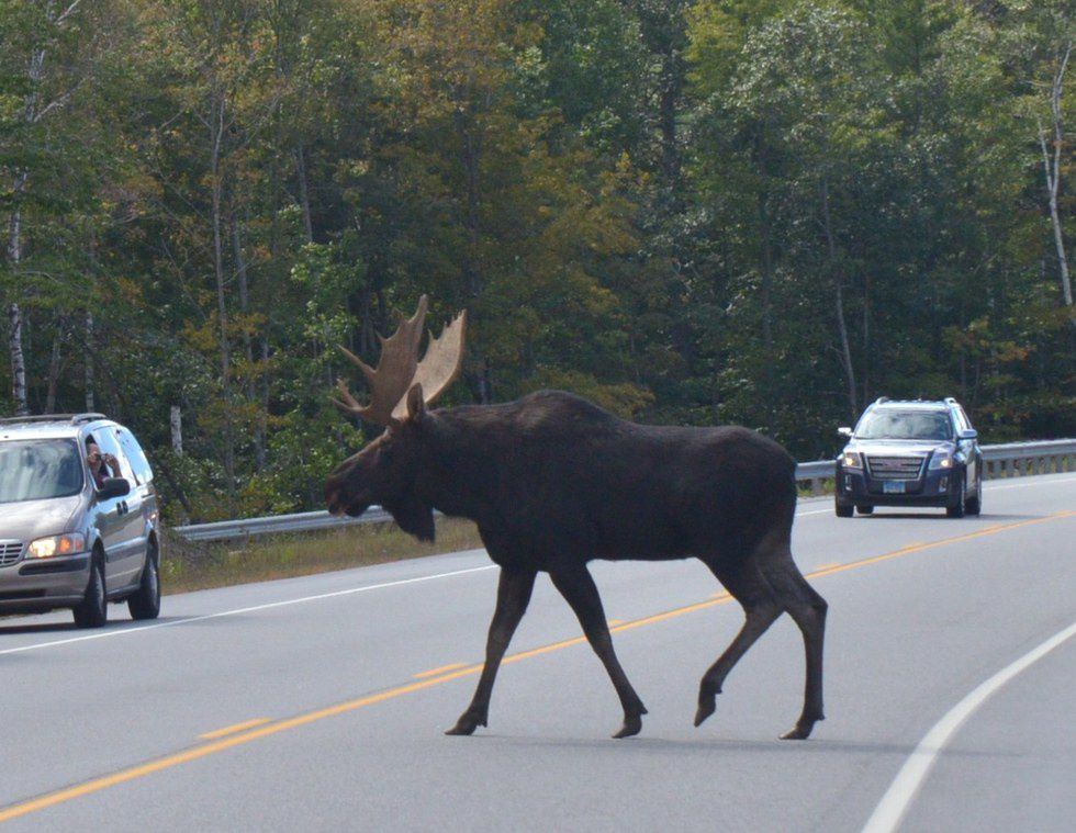 5 Reasons Why You Should Visit New Hampshire