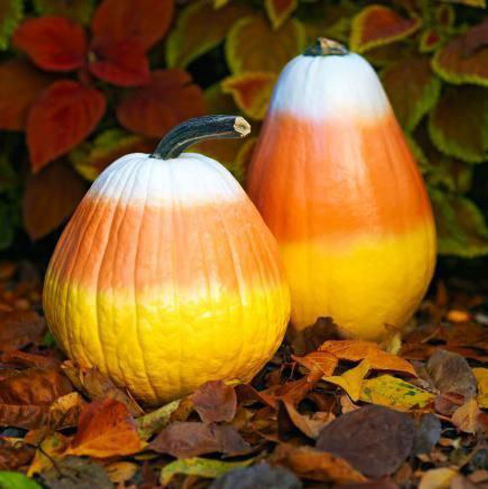 15 Pumpkin Designs To Fall For