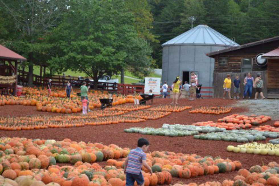 10 Things To Do During Fall In North Georgia