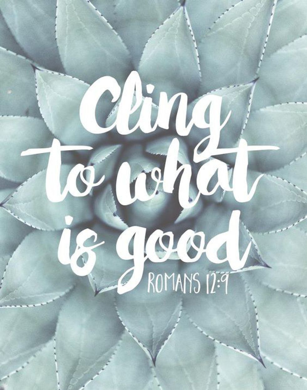 12 Bible Passages to Brighten Your Day