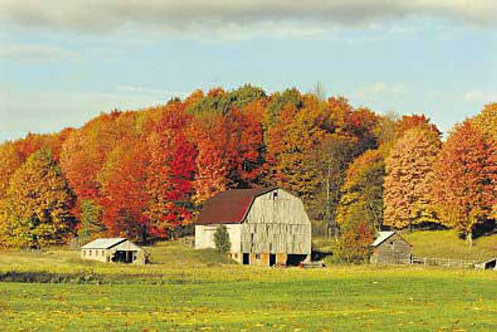 10 Reasons Why I Will Always Love Michigan