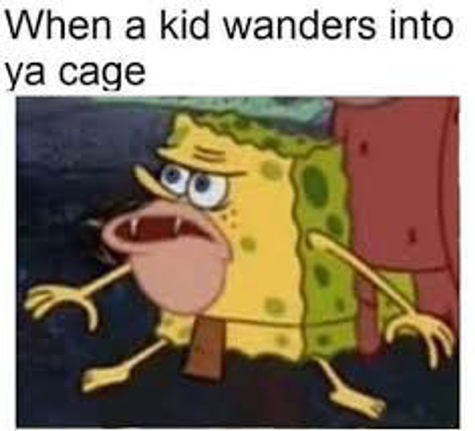 7 Spongegar Memes That Take It Too Far