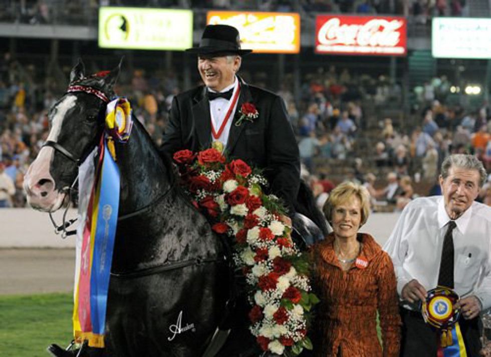 It's More Than A Horse Show: The Tennessee Walking Horse National ...