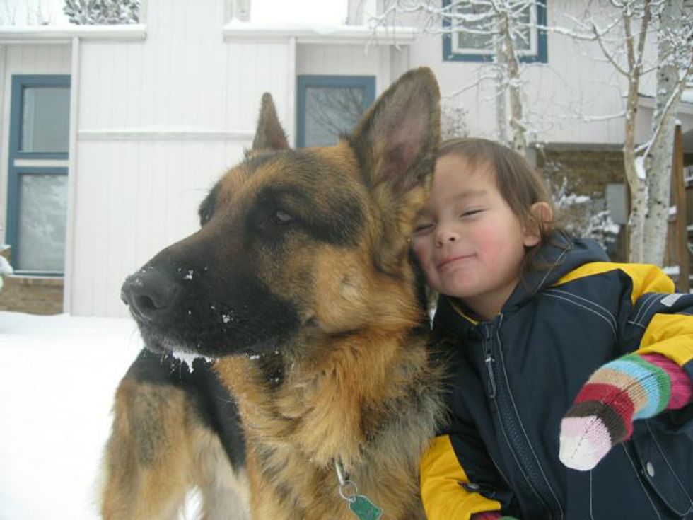 10 Reasons Why German Shepherds Are The Best Dogs