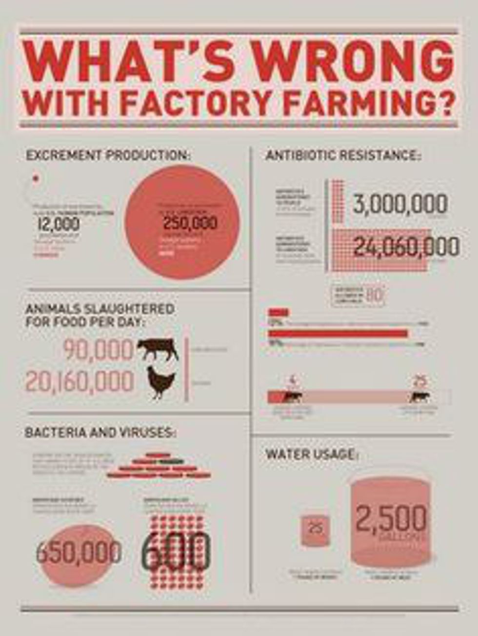The problem with factory farming