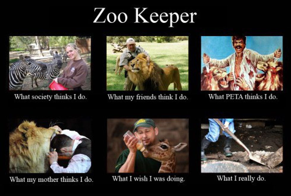 9 Important Life Skills Every Zookeeper Has Mastered