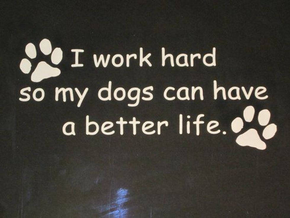 5 Signs You're The Parent Of A Fur Baby